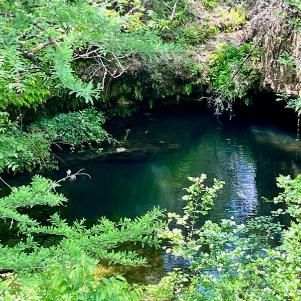 Natural Pool HikingPedernales Falls Johnson City Texas | ExploreJCTX