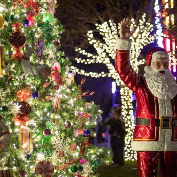 Christmas Lights Spectacular Johnson City Texas Christmas Tree Santa ...